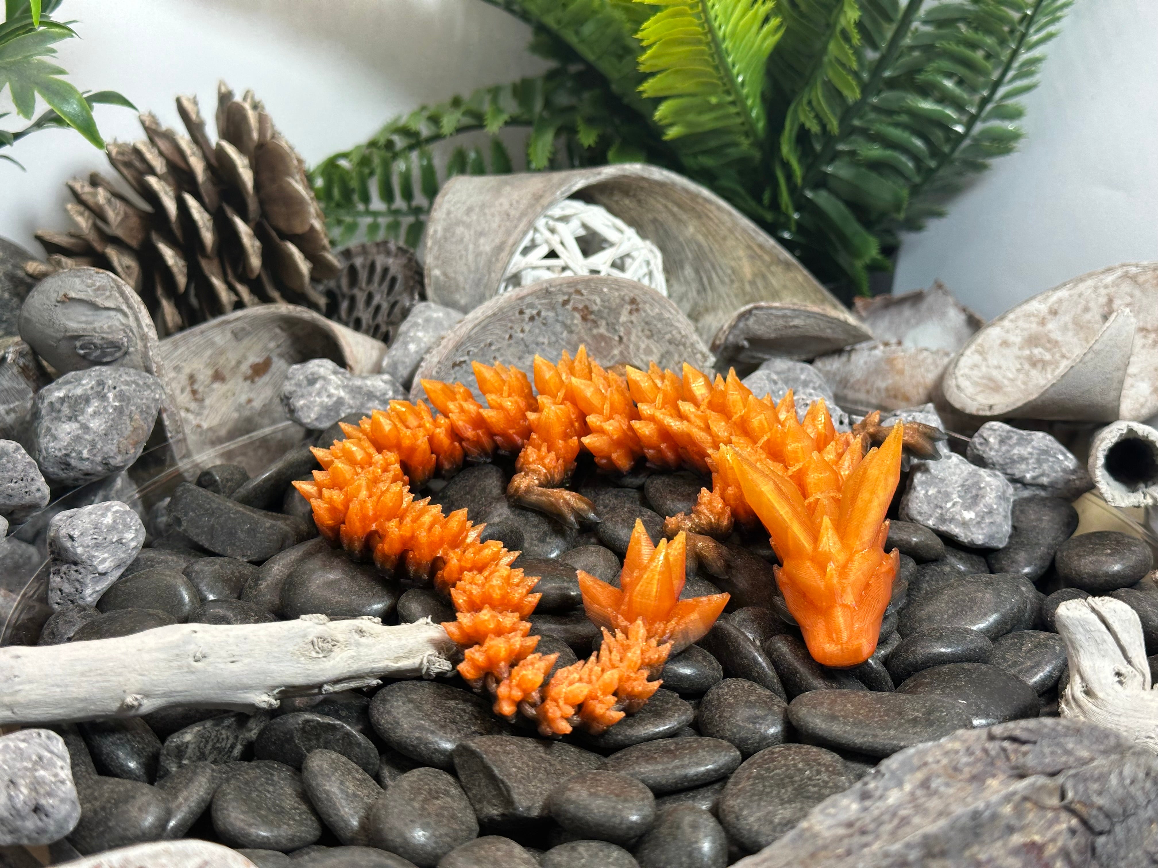 Crystal Dragons – The Family Nomadic